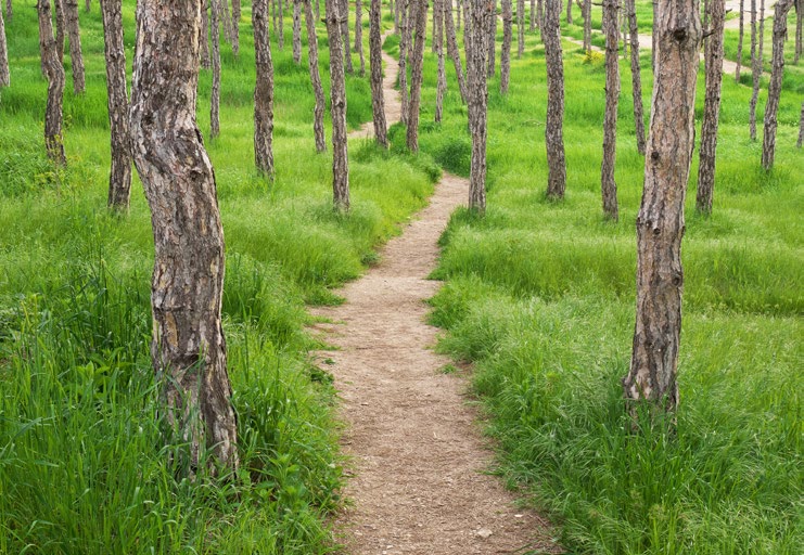 Part 10 Knowing Jesus - Understanding His Guidance by Ralph Drollinger 2020