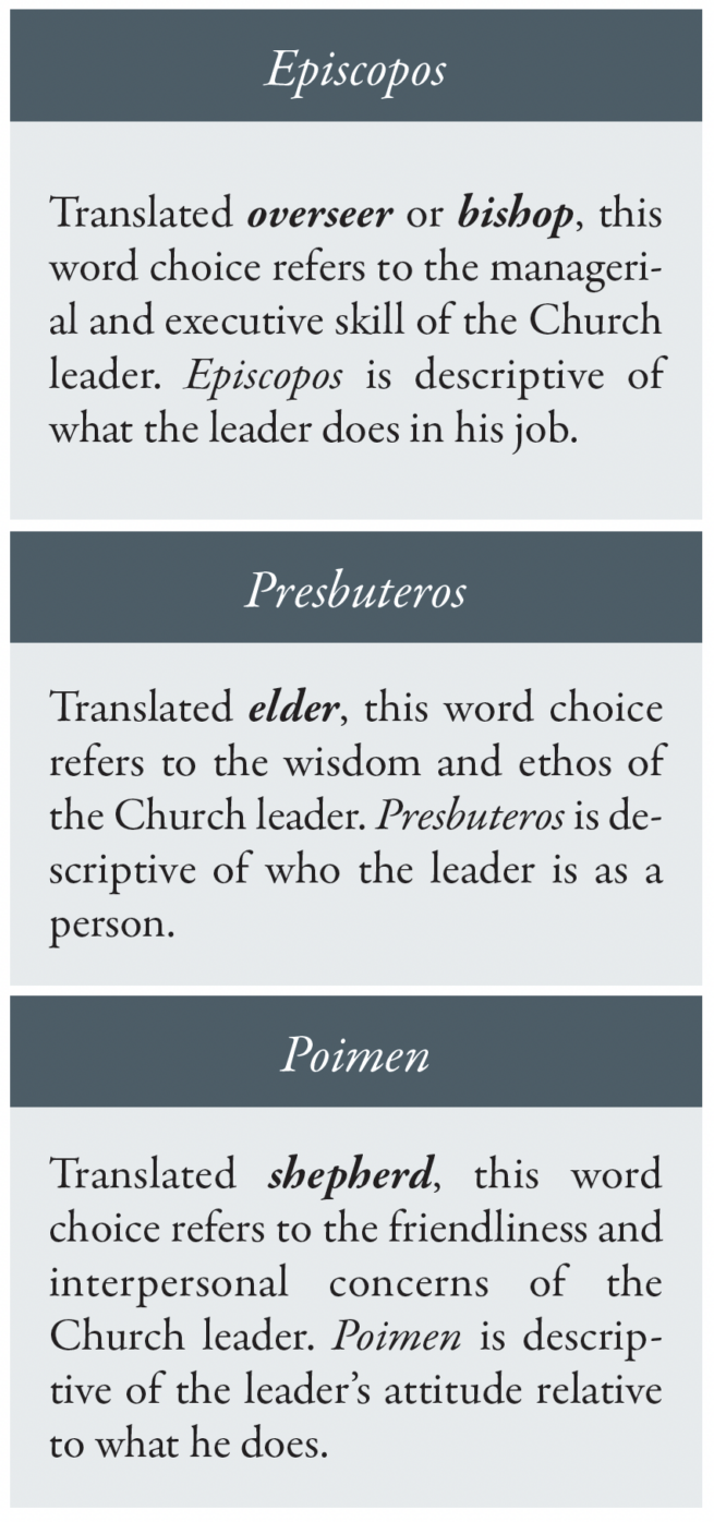 The Bible—The Best Voter’s Guide